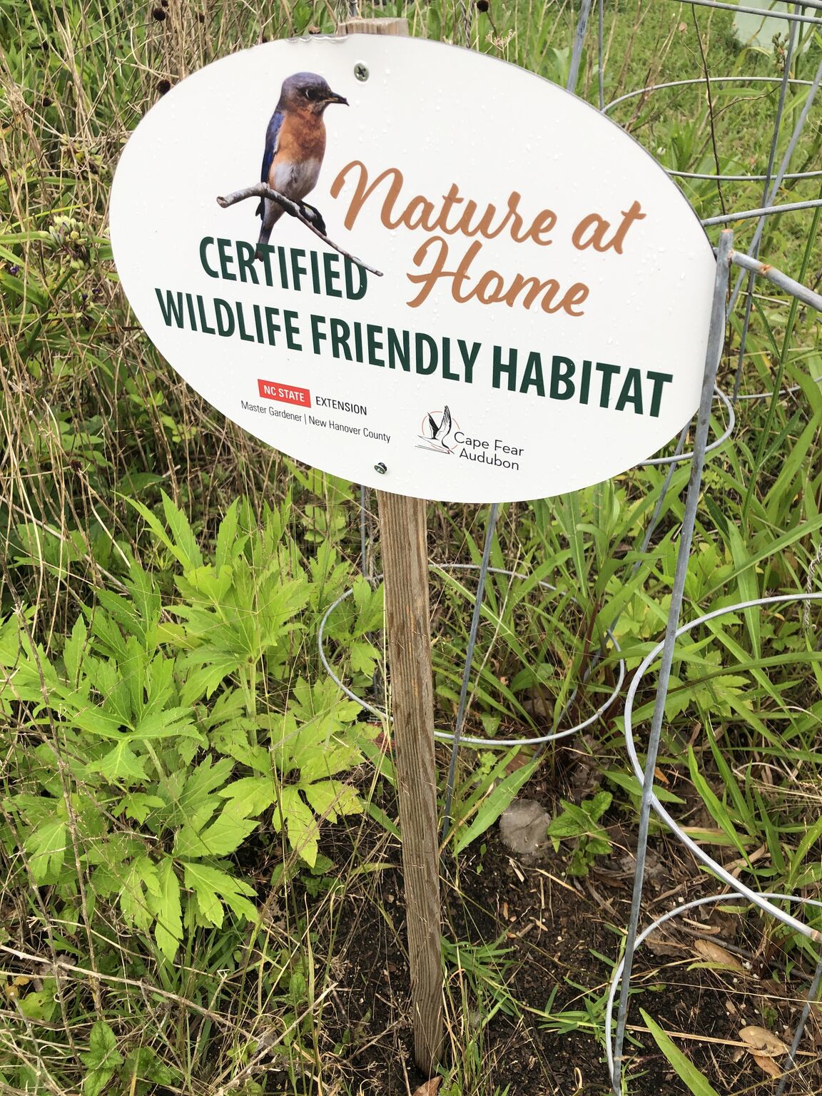 Resources - Microhabitat Program Manual - Village and Wilderness